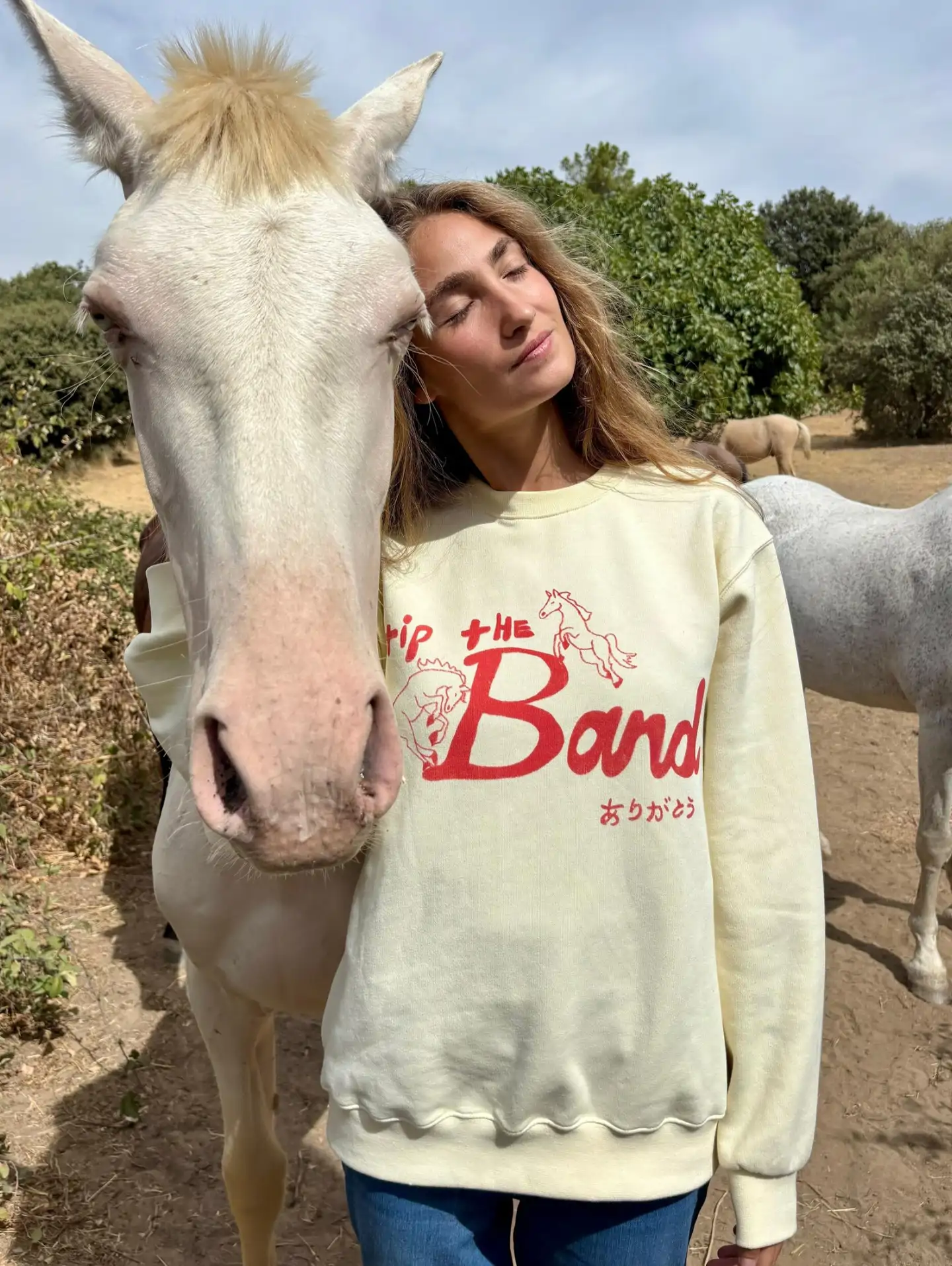 12 marcas de sudaderas famosas: ponibles y divertidas